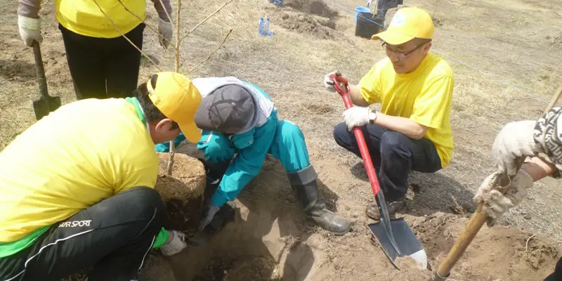 Бүх нийтээрээ мод тарих үндэсний өдөр