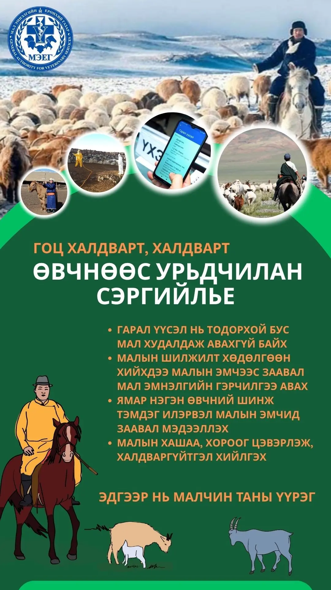 МАЛЧИН ТАНЫ ҮҮРЭГ